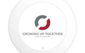 Pinto Brasil Group – Indústria, Tecnologia, Real Estate e Serviços