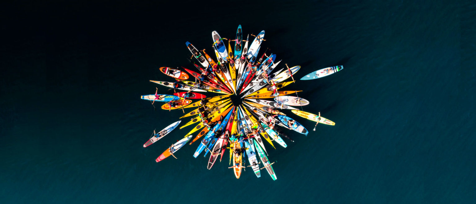 Grupo – Pinto Brasil Group