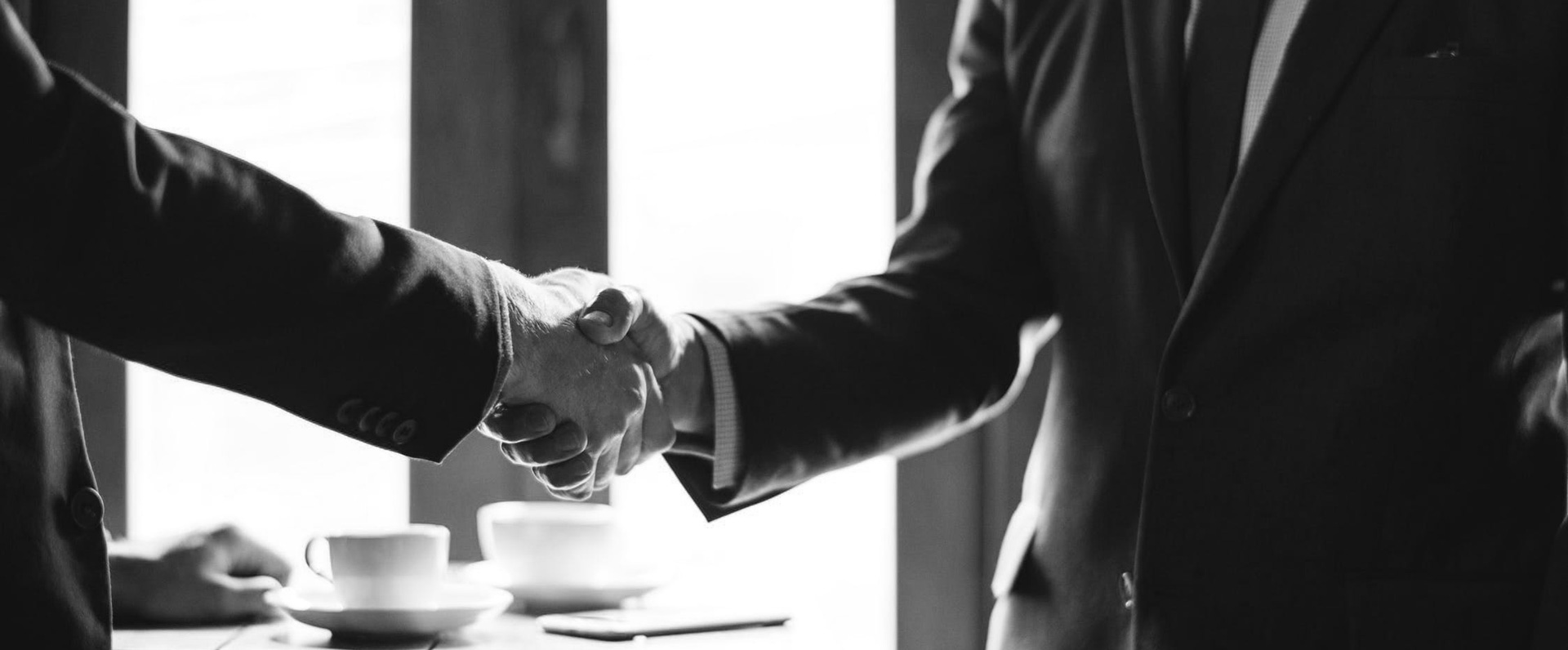 Grupo – Pinto Brasil Group